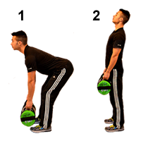 Quickaccent Trainings Schemas